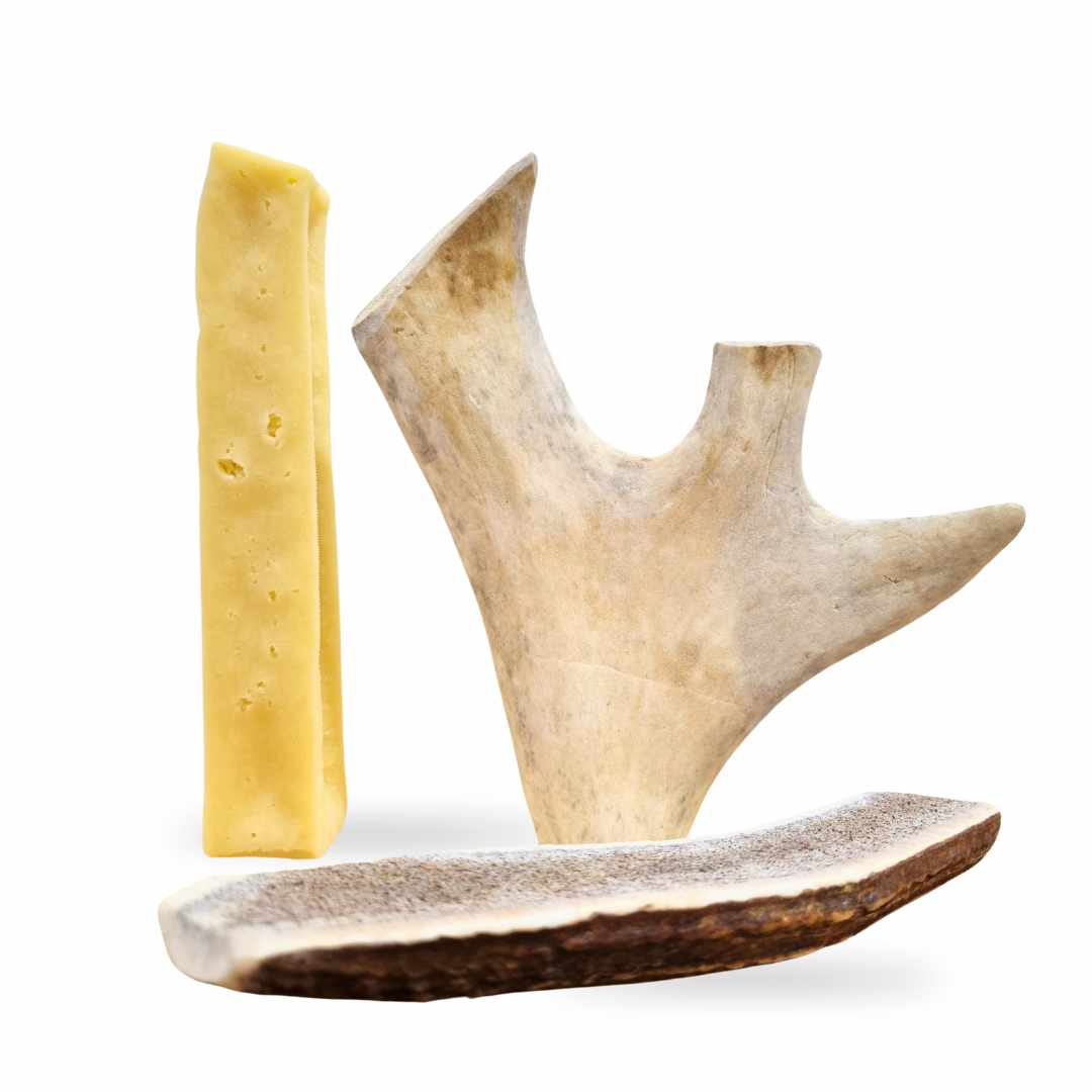 Pack Mastication Naturelle Chien - Bois de cerf + Fromage de Yack ...